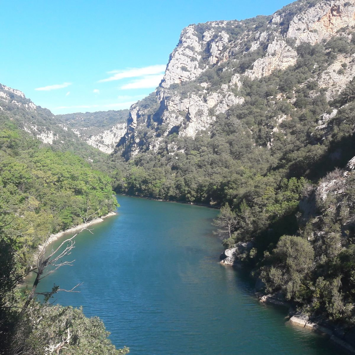Les Basses Gorges du Verdon Les Basses Gorges du Verdon
